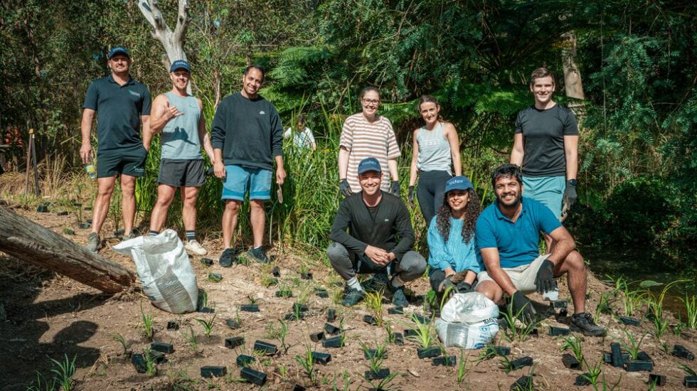 Data, Digital & Cloud Solutions | Codex